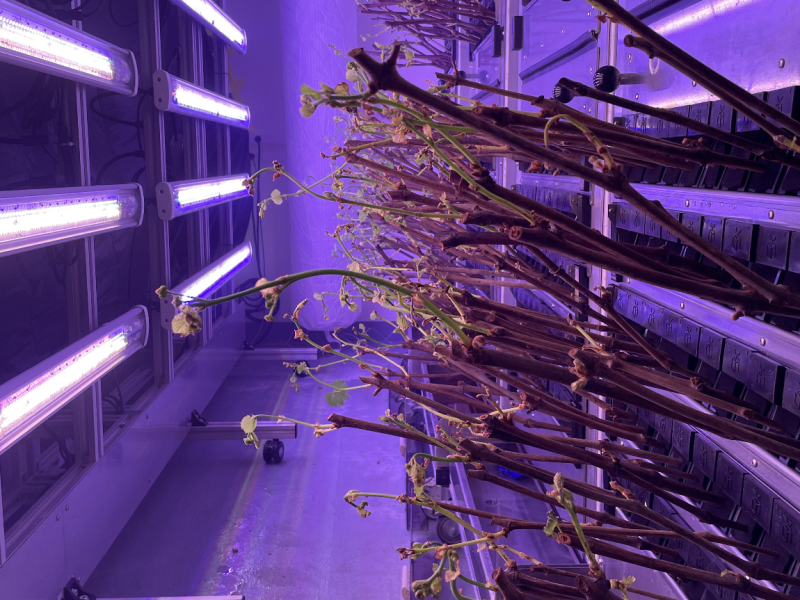 Beaune | Info-Beaune l'actualité de Beaune