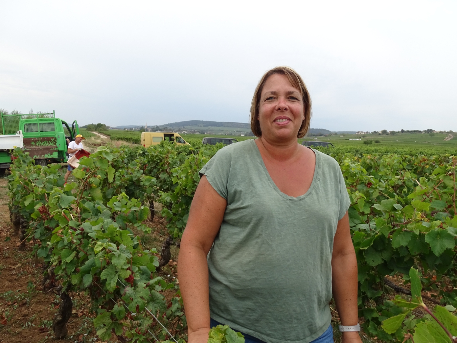 La Côte de Beaune à l’heure des vendanges - Toute l'actualité de Beaune ...