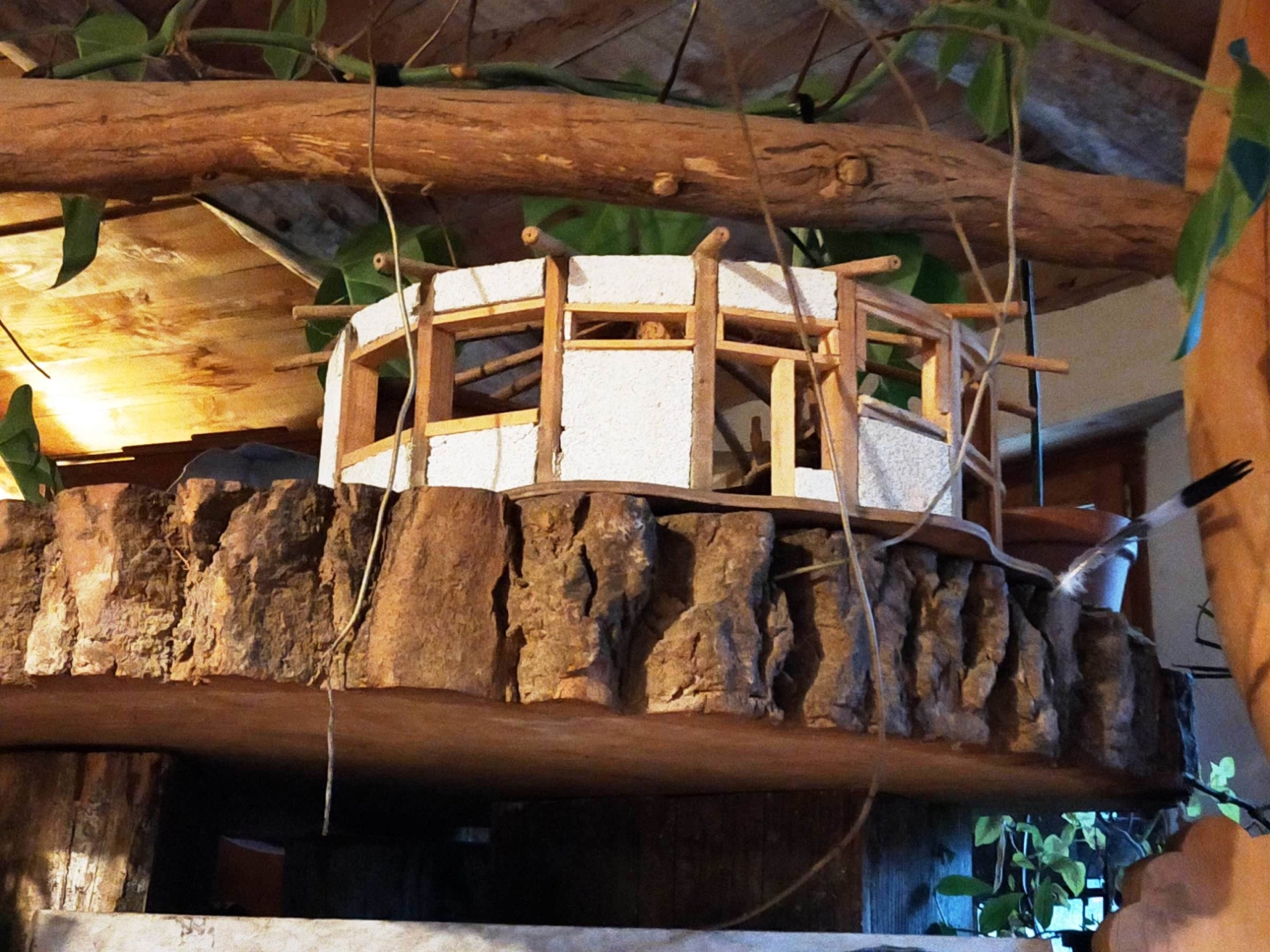 Bouilland - « La maison autour du cèdre » : Cyril Bruyas réalise son ...