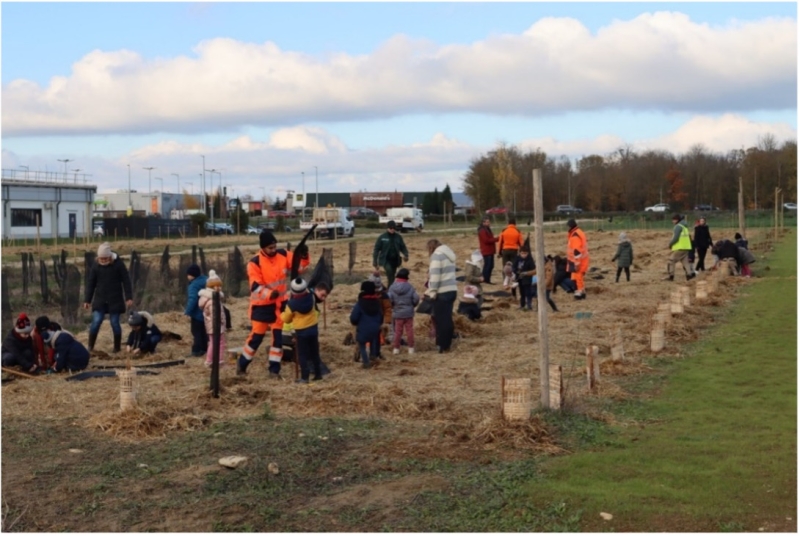 Les enfants de Chevigny plantent 400 nouveaux arbres dans la commune ...