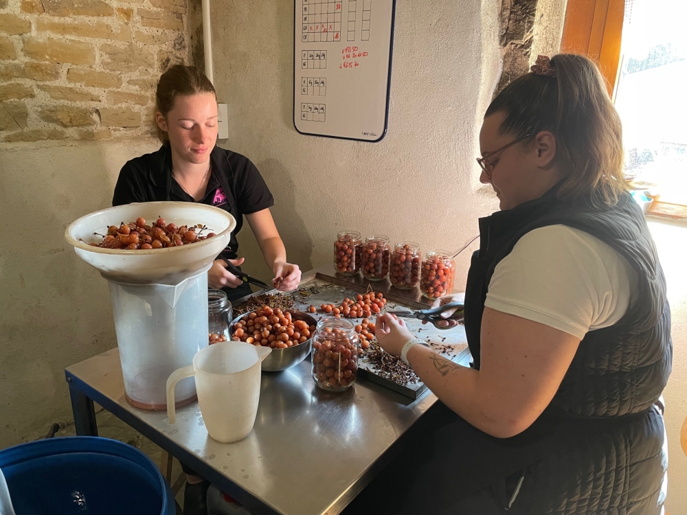 20 t de fruits transformées à l’ancienne chaque année à la Ferme ...