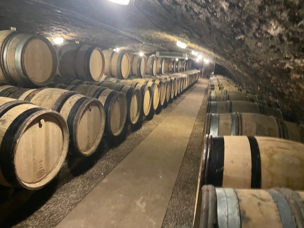 La Maison Champy partage son histoire et son savoir-faire en plein cœur ...