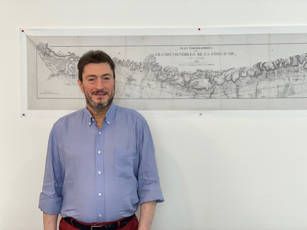 Sylvain Naulin, nouveau directeur du BIVB - « Je suis au service des ...